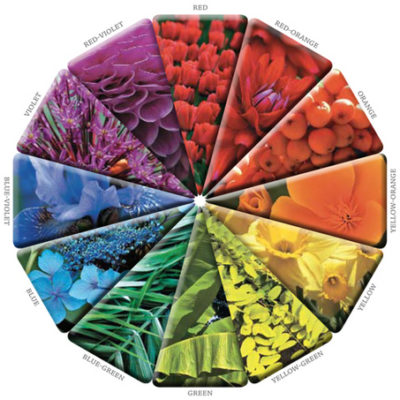 Garden Color Wheel - Smashing Color